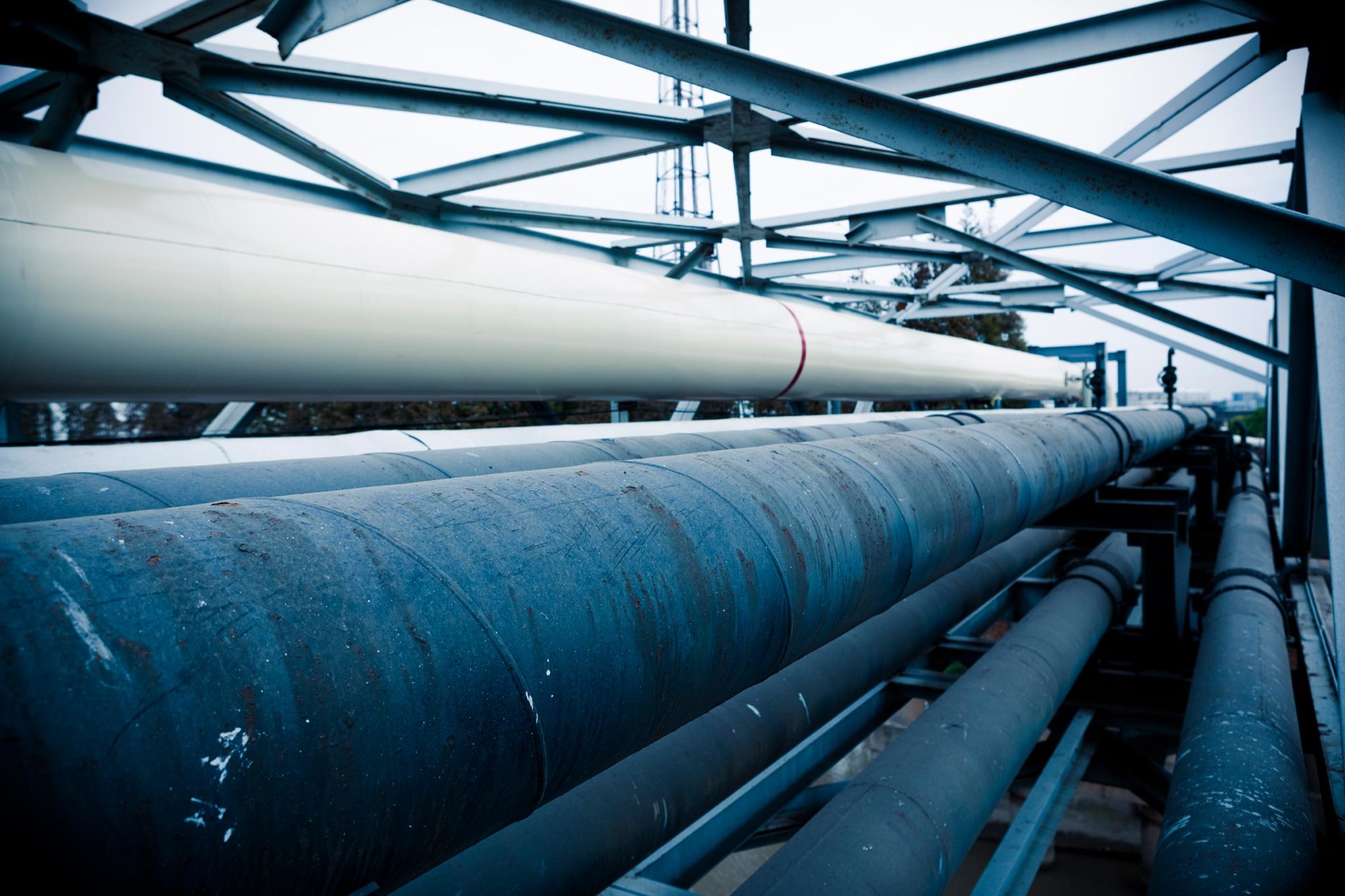 Indigo Networks | Independent Carrier of Energy, Gas & Electricity